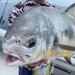 Florida Keys Fishing Seasons - Florida Keys Fishing
